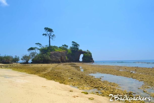 NEIL ISLAND TRAVEL GUIDE - Why Visit Shaheed Dweep? | T2B
