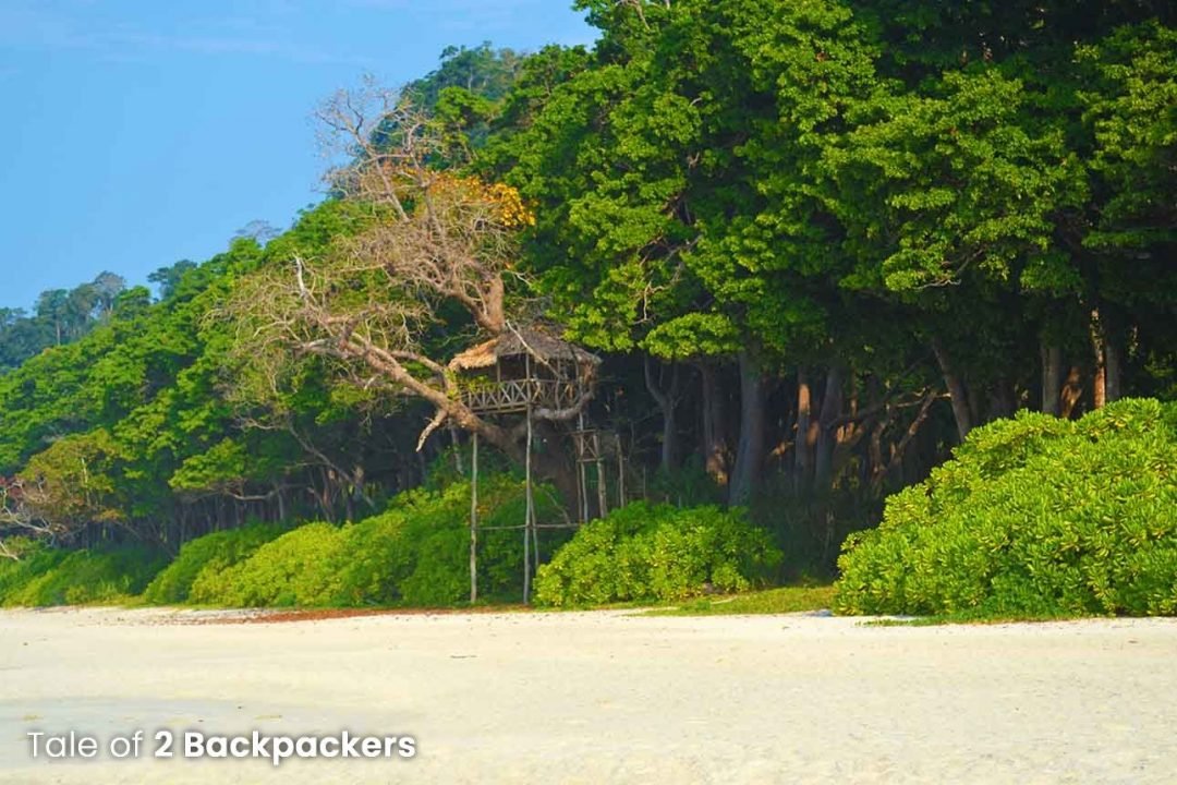The Best Places to visit in Havelock Island - Travel Guide | T2B