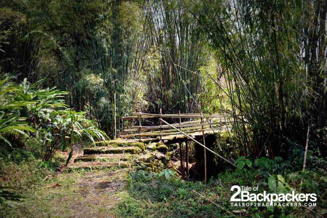 Dzongu, a paradise lost in time - A complete travel guide | T2B