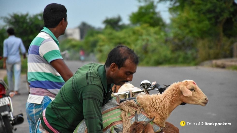 Singee - A weekend Getaway from Kolkata | Tale of 2 Backpackers