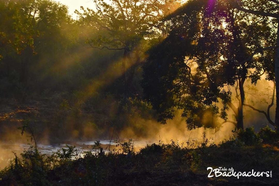 Manas Maozigendri Ecotourism Society - they keep the forest safe | T2B