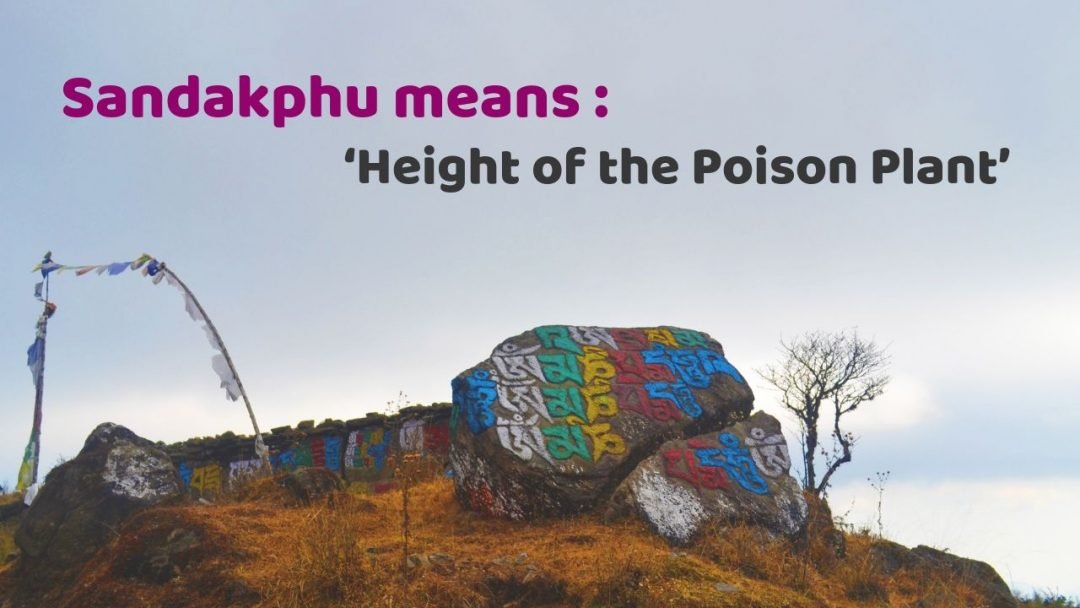 Sandakphu Trek with Phalut - A Complete Travel Guide | T2B
