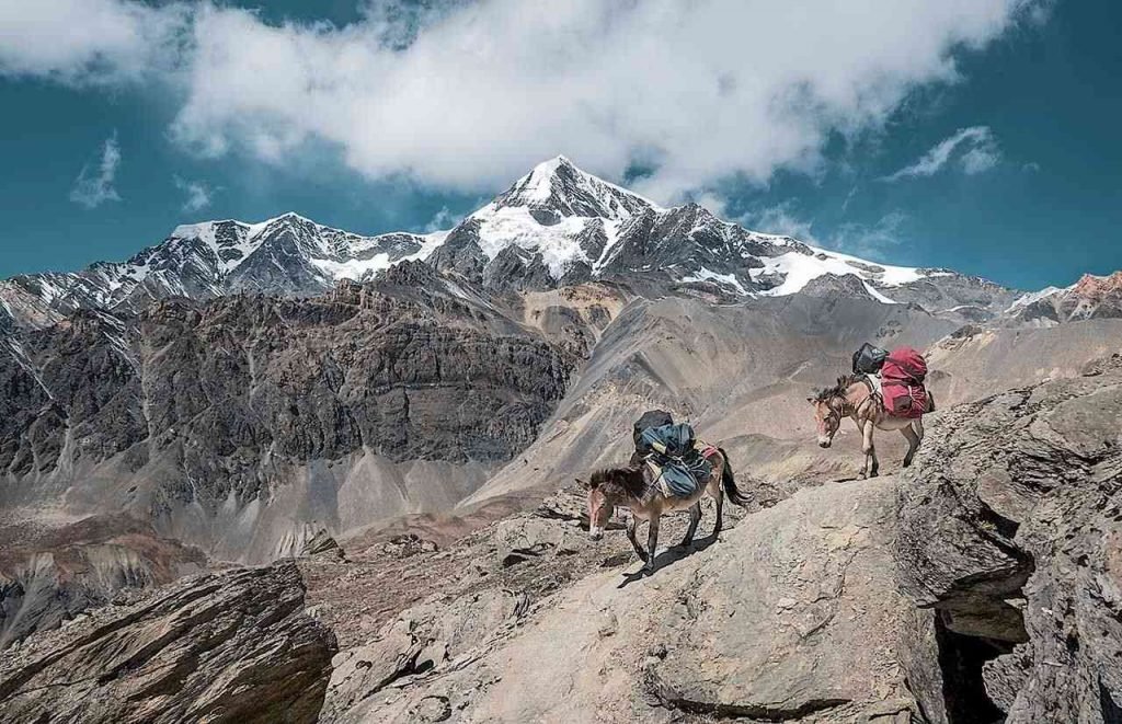 Trekking in Nepal: 15 Best Treks and all that you want to know | T2B Blog