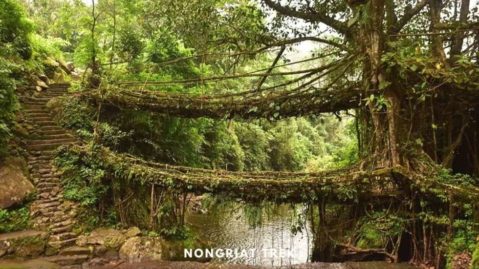Nongriat Trek - Guide to Double Decker Root Bridge & Rainbow Falls | T2B