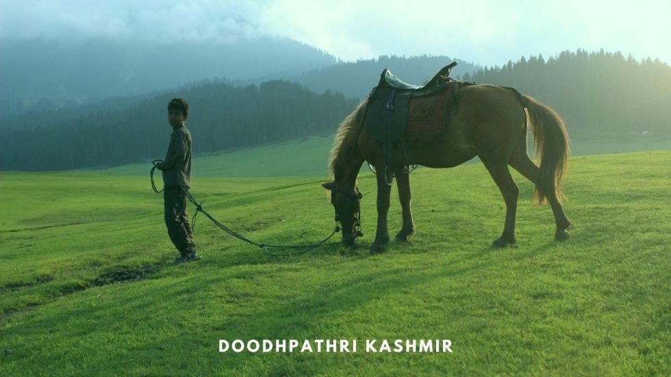 DOODHPATHRI, Trip to the Valley of Milk in Kashmir | Tale of 2 Backpackers