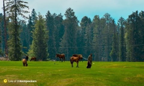 YUSMARG, Unexplored Kashmir - A Complete Travel Guide | Tale of 2 ...