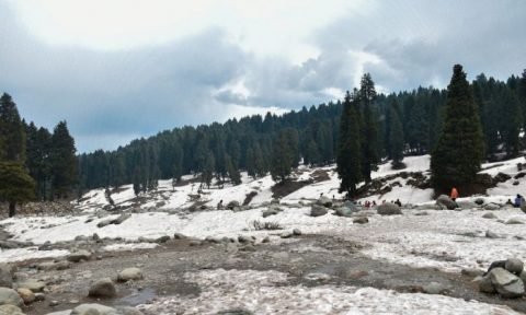 DOODHPATHRI, Trip to the Valley of Milk in Kashmir | Tale of 2 Backpackers