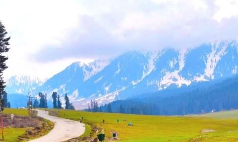 DOODHPATHRI, Trip to the Valley of Milk in Kashmir | Tale of 2 Backpackers
