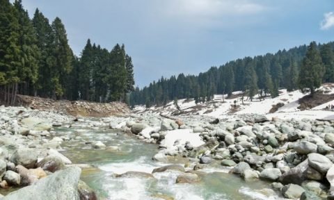 DOODHPATHRI, Trip to the Valley of Milk in Kashmir | Tale of 2 Backpackers