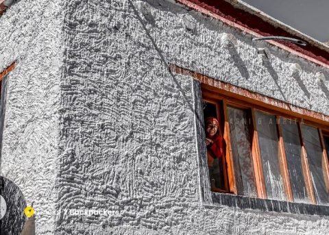 Zangla Palace, Zanskar - A Beauty in Ruins | Tale of 2 Backpackers