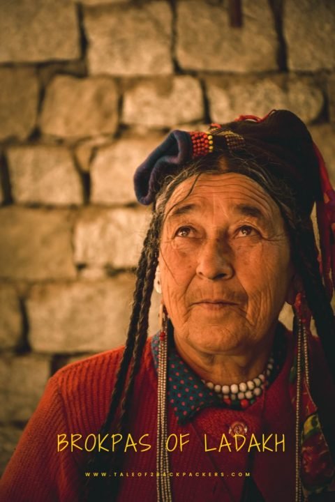 Aryan Valley, Ladakh - Looking into the Life of Brokpas | Tale of 2 ...
