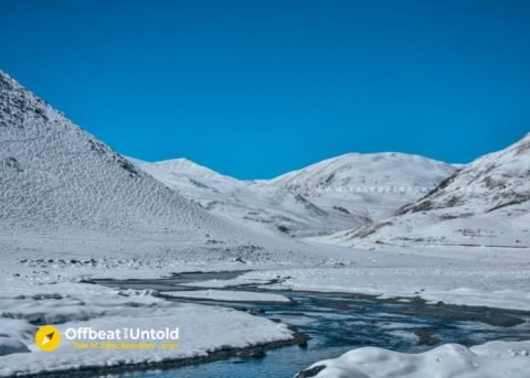 Changpa Tribe of Changthang, Ladakh - The Story of Pashminas | Tale of ...