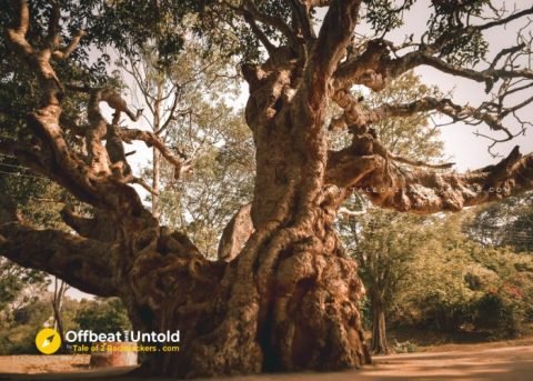 Is Bastar Safe For Tourists? 12 Terrific Reasons to Visit Bastar | Tale ...