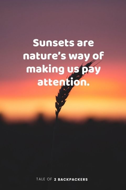 220+ Sunset Quotes - Use These Sunset Captions for Instagram | Tale of ...